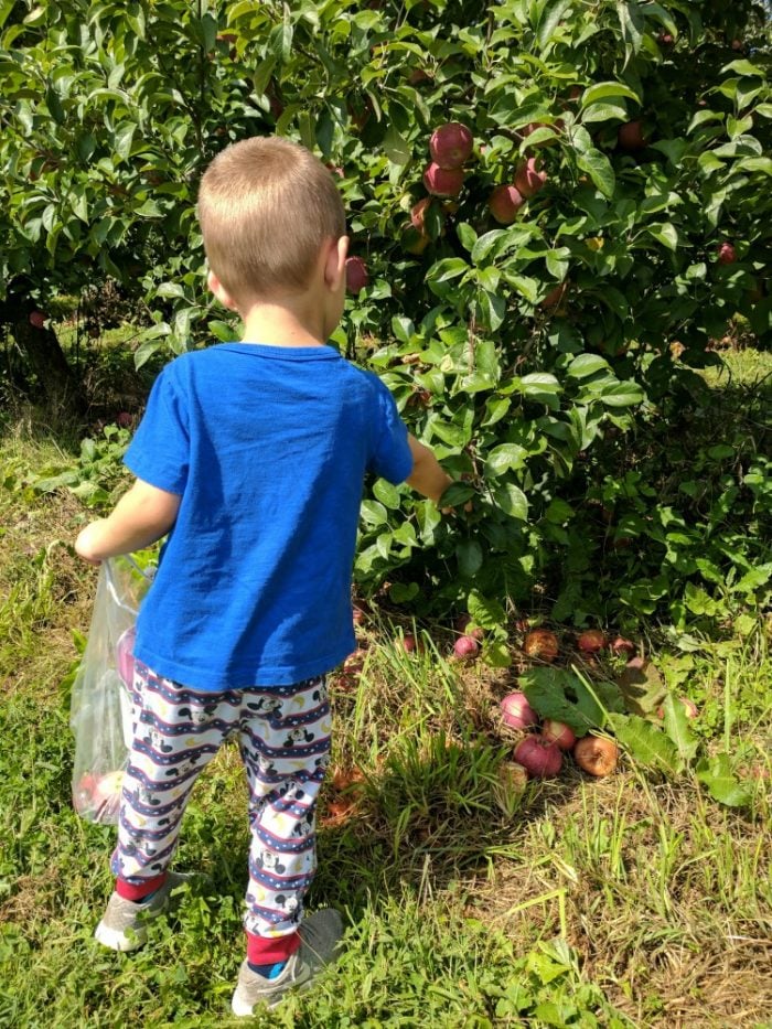 8 Simple Ways to Celebrate Fall With Kids - Honestly Modern