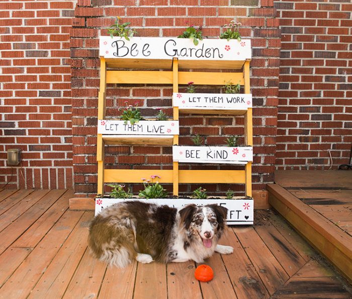 Why And How To Love A Bee Garden In Your Yard - Honestly Modern