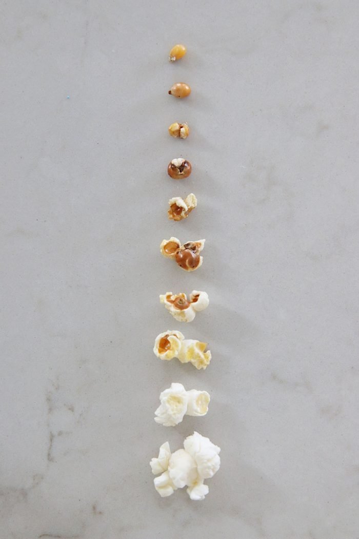 7 Zero or Low Waste Homemade Popcorn Recipes - Honestly Modern