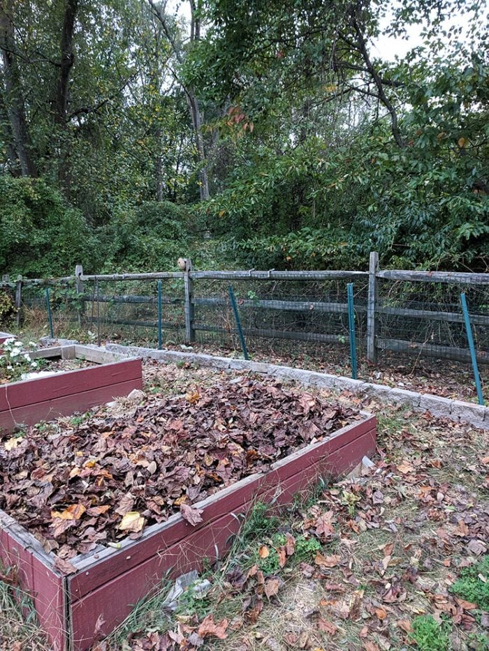 5 Ways To Compost Leaves - Honestly Modern