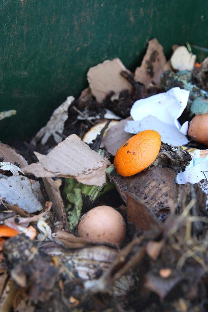 What is Composting? - Honestly Modern