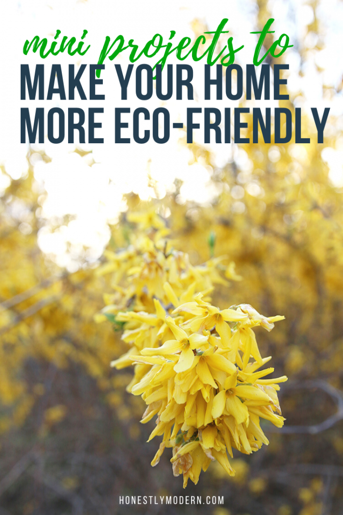 7 Mini Projects To Make Your Home More Eco-Friendly - Honestly Modern