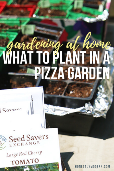 What To Plant In A Pizza Garden - Honestly Modern