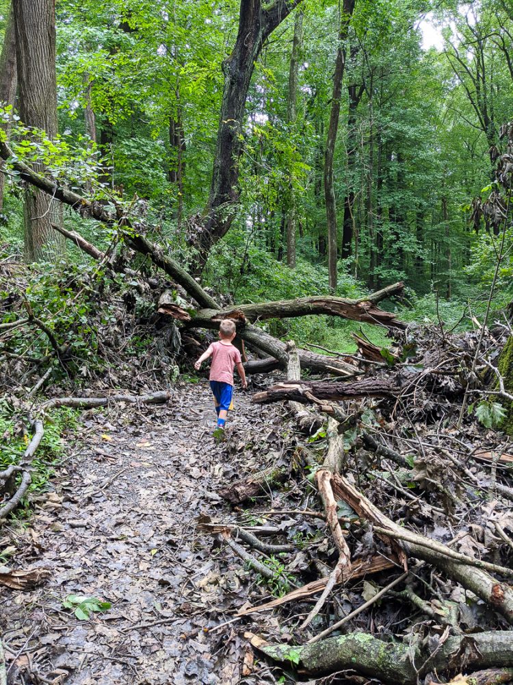 13 Tips How To Find Hiking Trails Wherever You Are Honestly Modern 13-tips-how-to-find-hiking-trails-wherever-you-are-honestly-modern