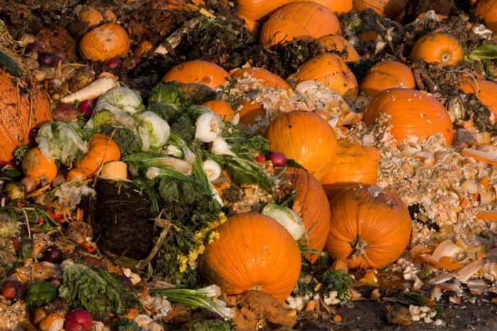 19 Eco-Minded Parents On Eco-Friendly Halloween With Kids - Honestly Modern