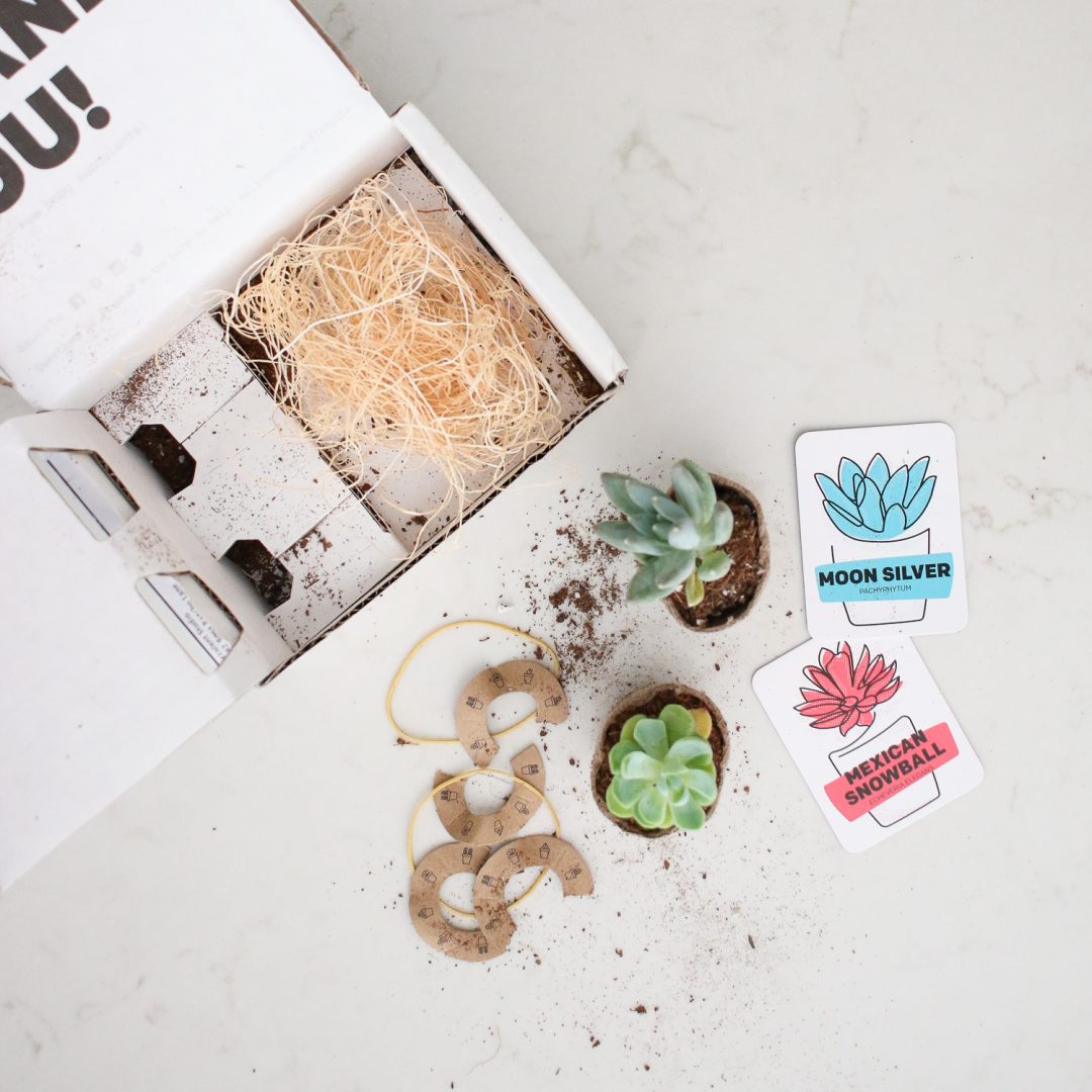 Unpaid Review of Succulent Studios Subscription Box - Honestly Modern