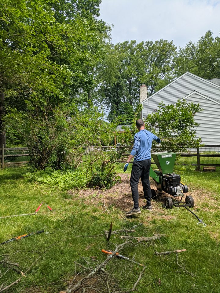 8 Eco-friendly Ways to Dispose of Yard Waste - Honestly Modern