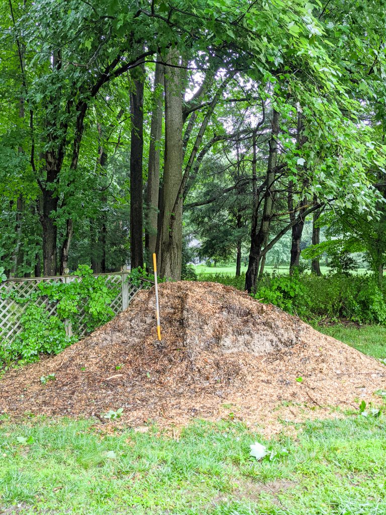 8 Eco-friendly Ways to Dispose of Yard Waste - Honestly Modern