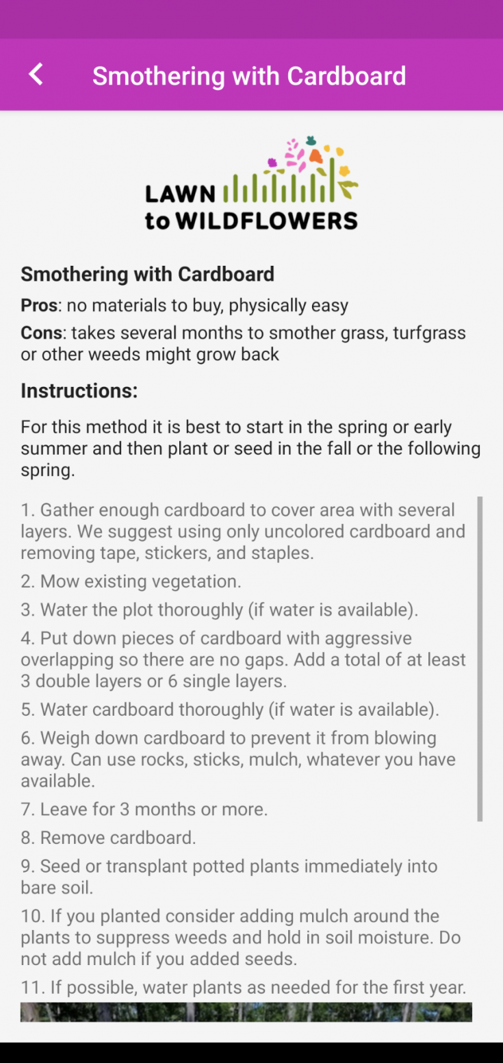An App To Help You Create A Wildflower Garden At Home - Honestly Modern