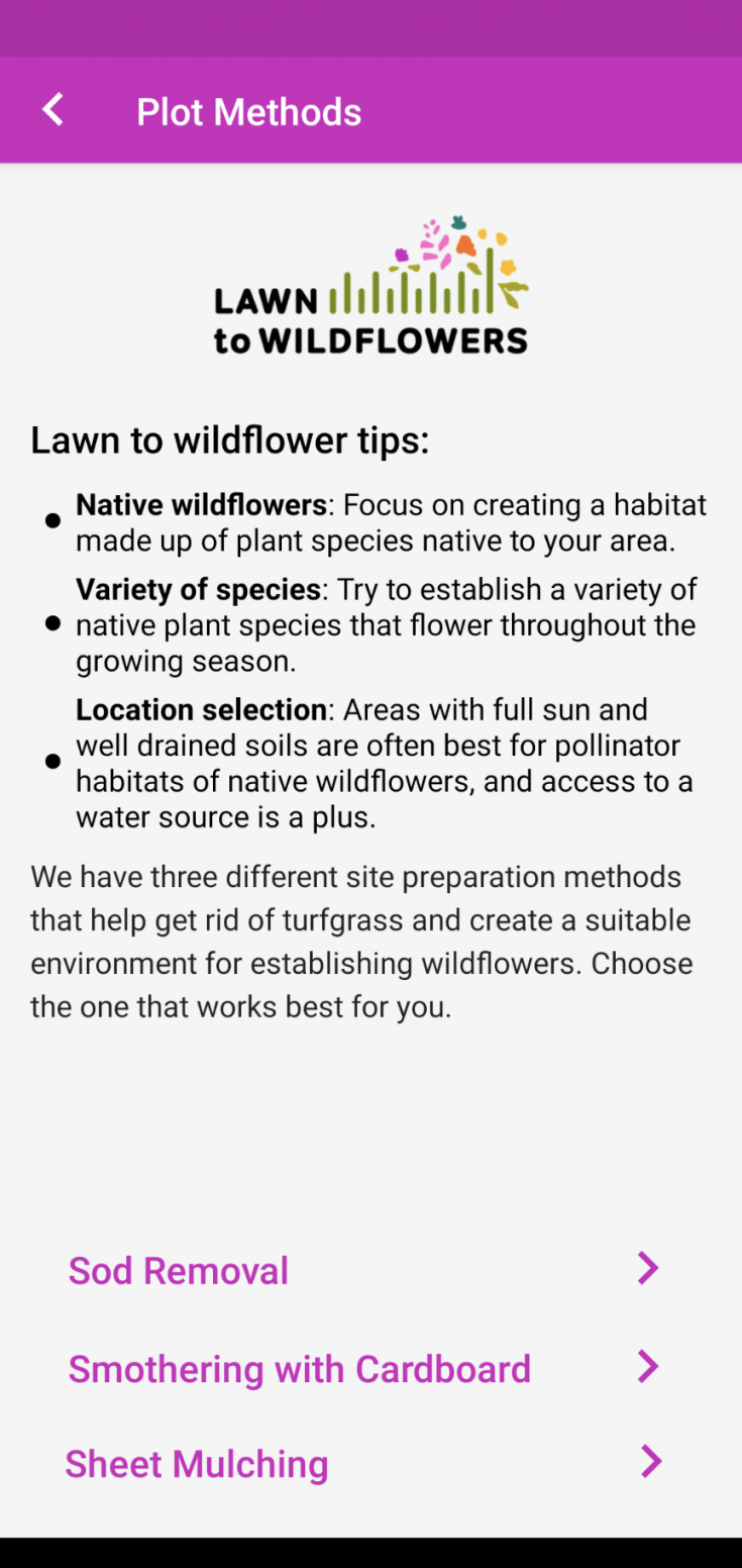 An App To Help You Create A Wildflower Garden At Home - Honestly Modern