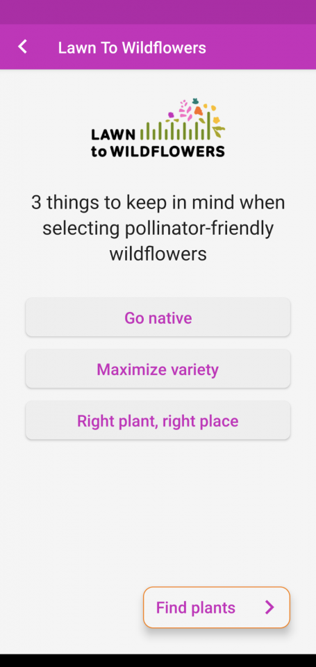 An App To Help You Create A Wildflower Garden At Home - Honestly Modern