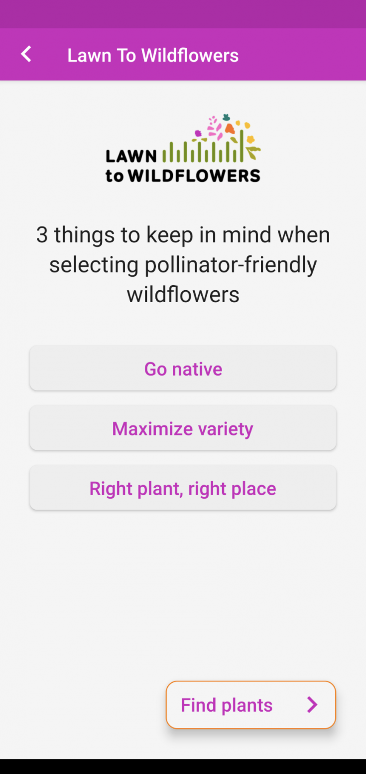 An App To Help You Create A Wildflower Garden At Home - Honestly Modern
