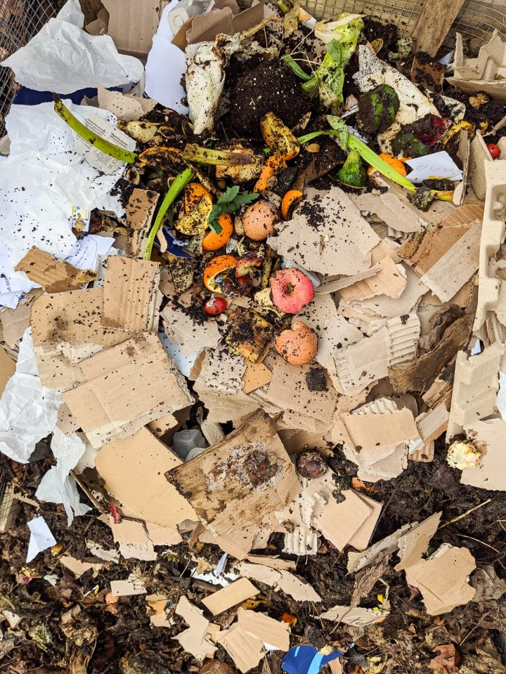 9 Types of Free Compost Browns | The Simplest Fix For Slow and Slimy ...