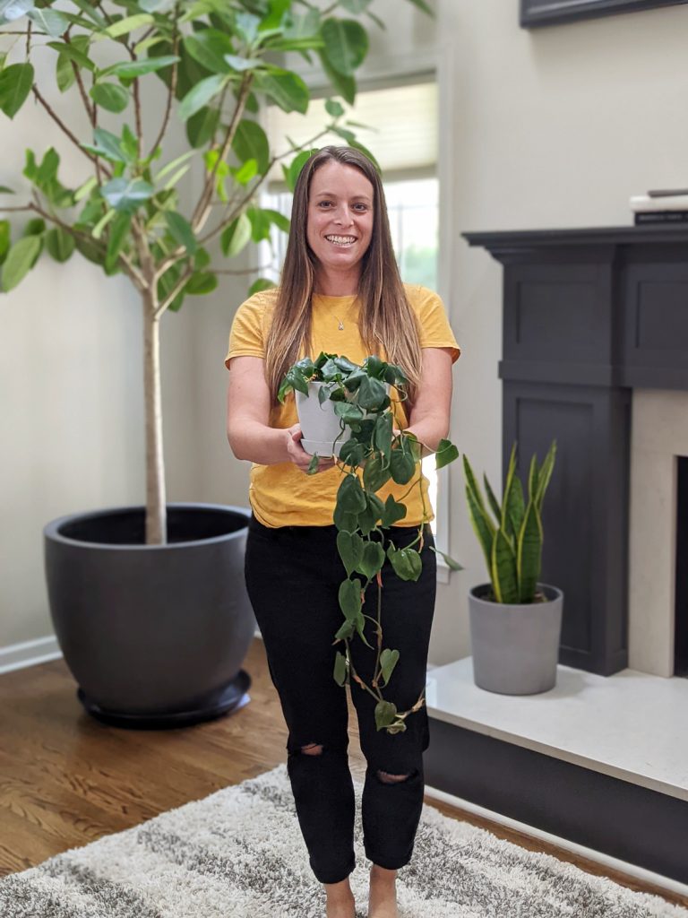 Unpaid Review of Bloomscape Online Plant Shop - Honestly Modern