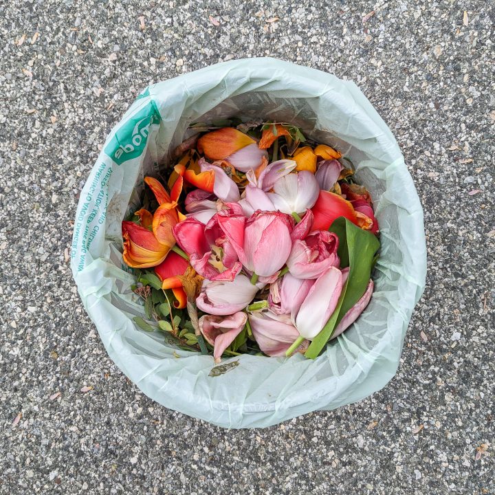 Can You Use A Curbside Composting Service If You Live in An Apartment ...