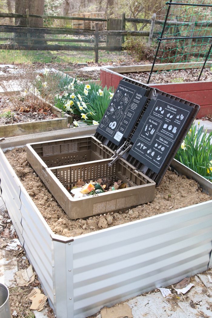 Intro to Composting With Our Editor - Honestly Modern
