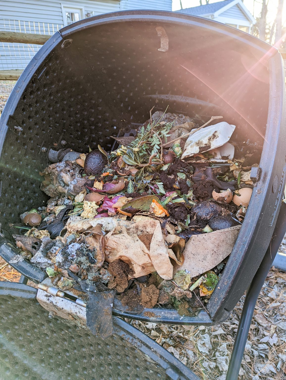 Intro to Composting With Our Editor - Honestly Modern