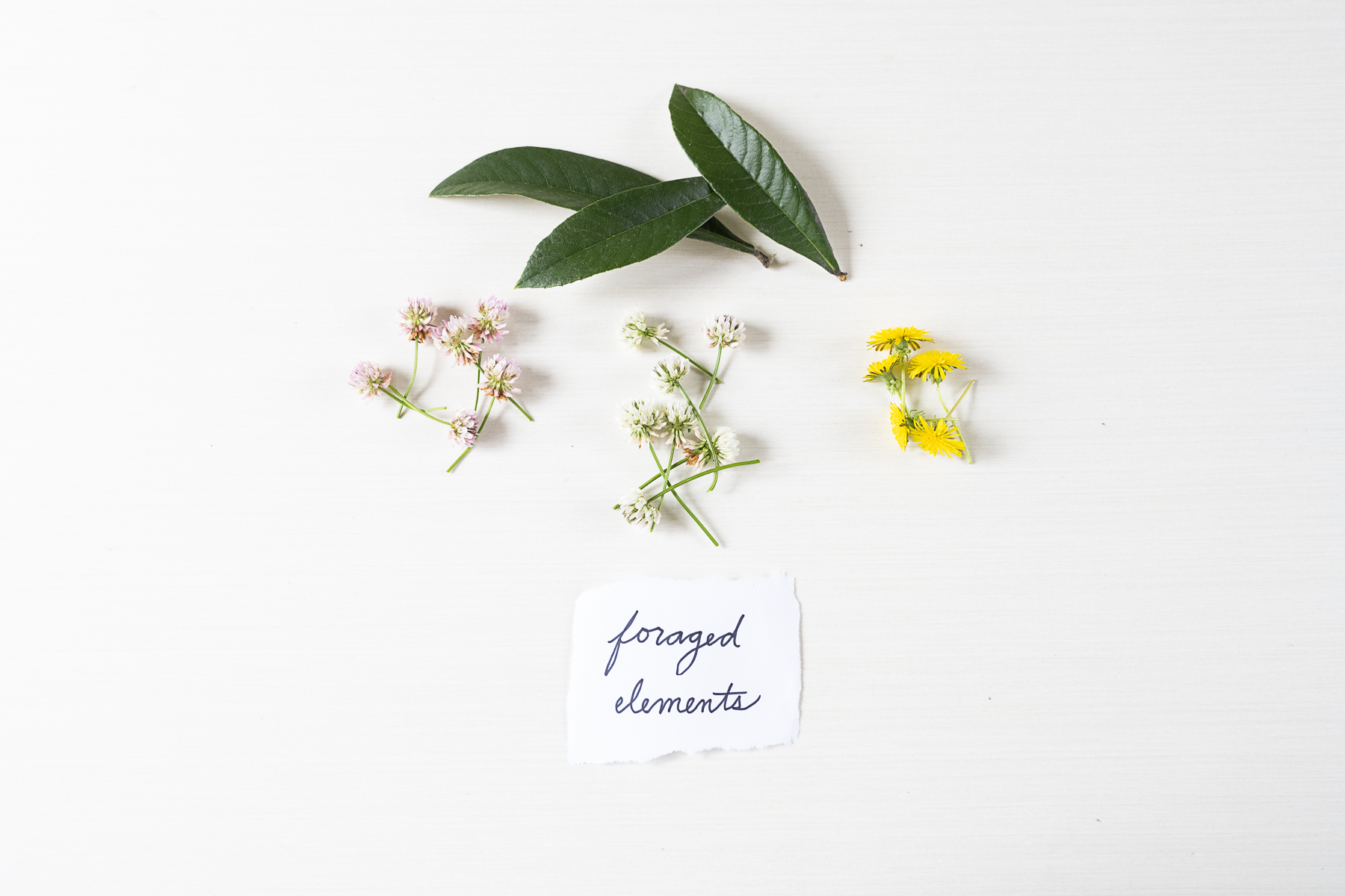 Simple Homemade Bath Soak Recipe with Dandelions - Honestly Modern