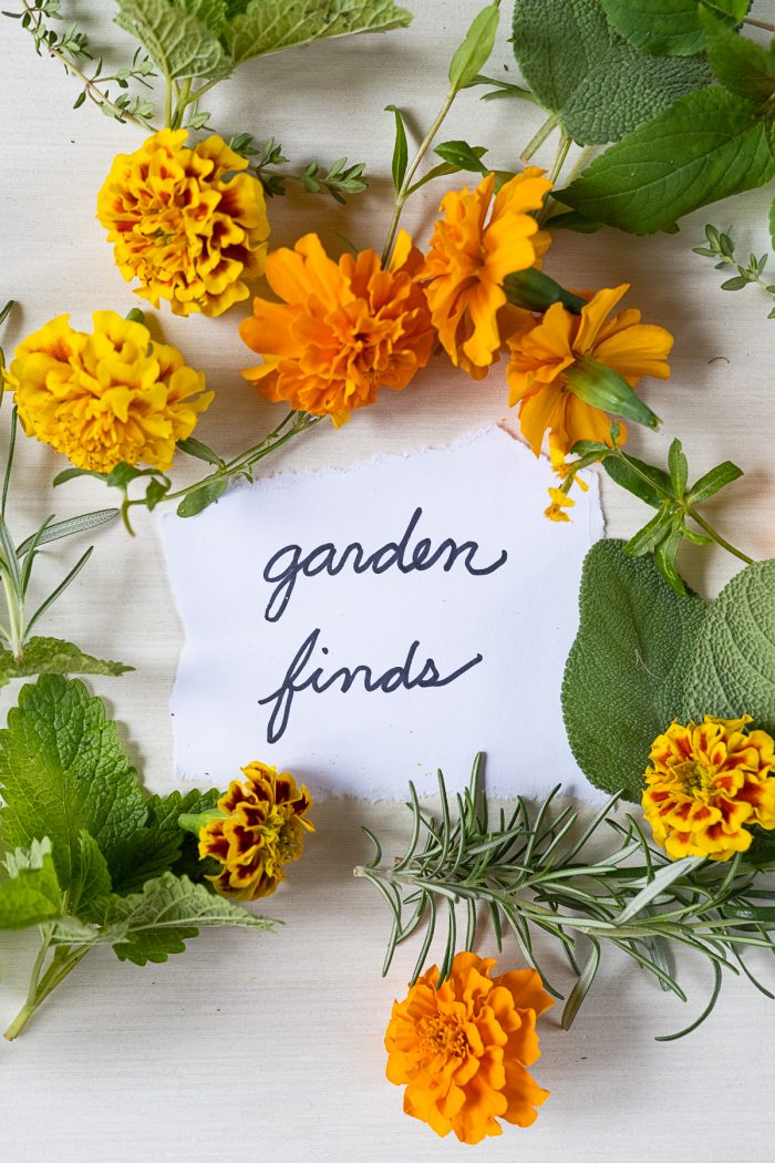 Simple Homemade Bath Soak Recipe with Dandelions - Honestly Modern