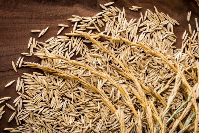 Beginner's Guide to Kernza® Perennial Grain For The Planet - Honestly ...