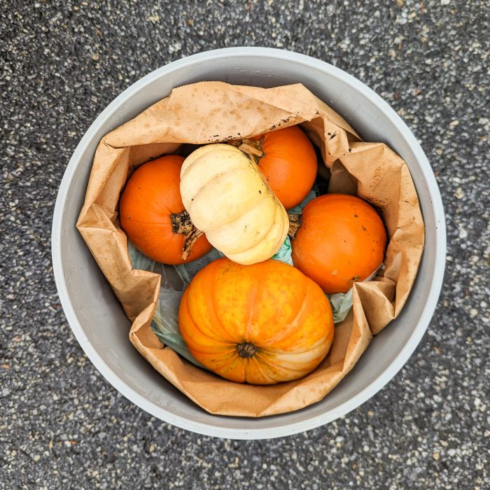6 Ways To Keep Your Curbside Composting Bucket Clean - Honestly Modern