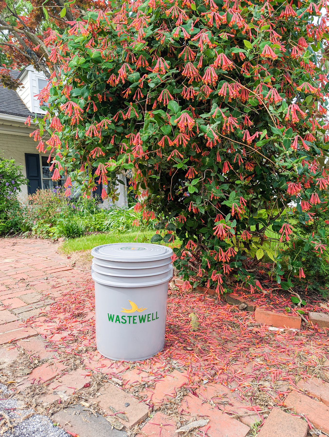 6 Ways To Keep Your Curbside Composting Bucket Clean - Honestly Modern