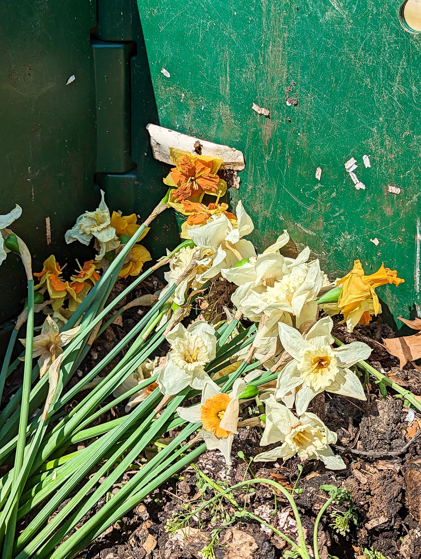 Can You Compost Flowers? - Honestly Modern