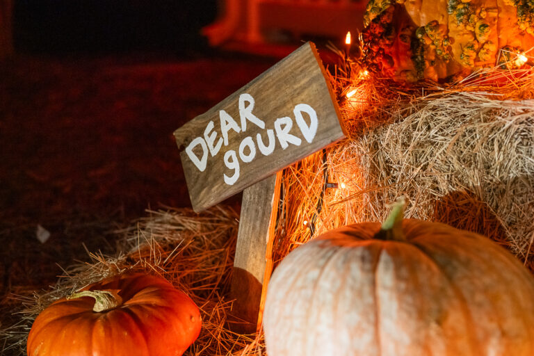 How To Make a Spooky DIY Haunted Pumpkin Patch - Honestly Modern