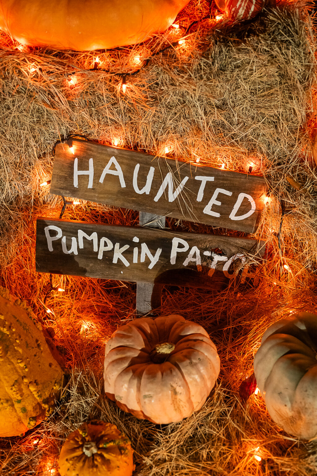 How To Make a Spooky DIY Haunted Pumpkin Patch - Honestly Modern