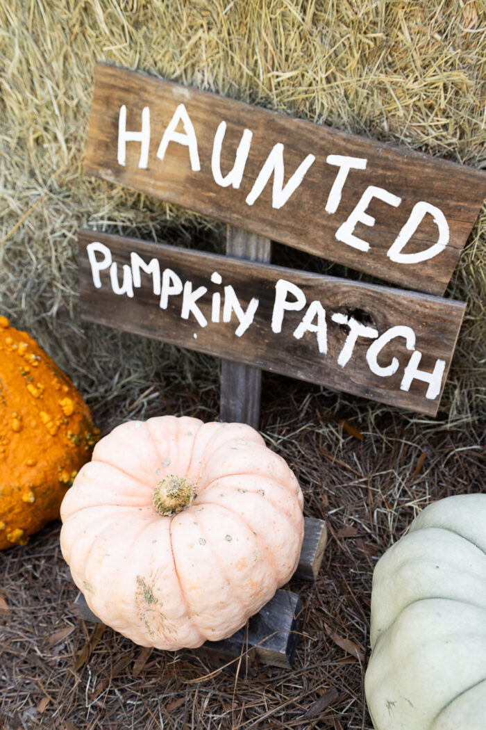 How To Make a Spooky DIY Haunted Pumpkin Patch - Honestly Modern