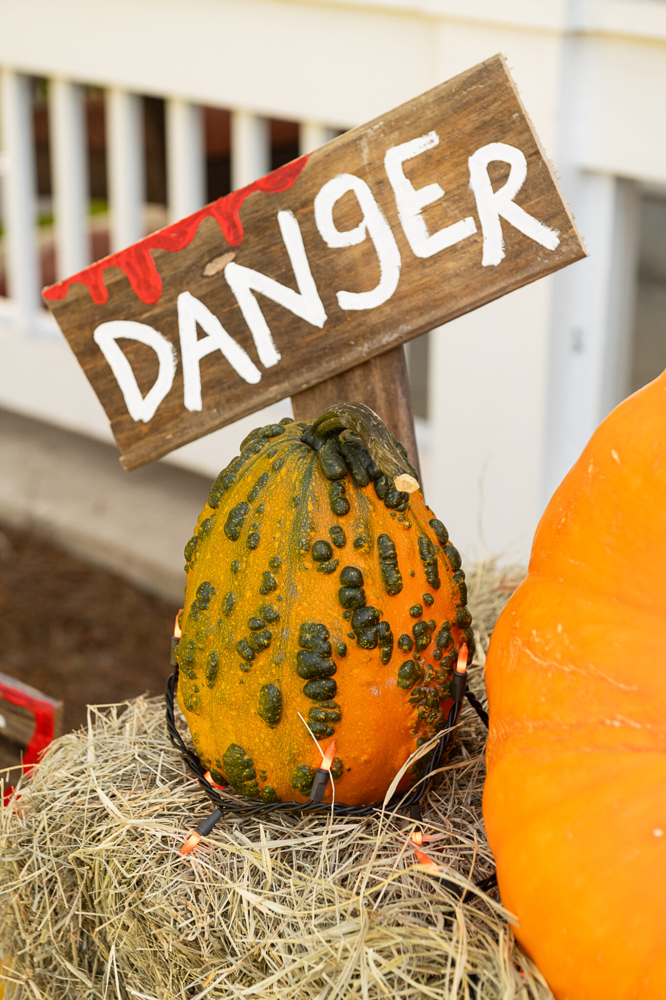 How to Make Easy, Spooky DIY Halloween Yard Signs from Wood Pallets ...
