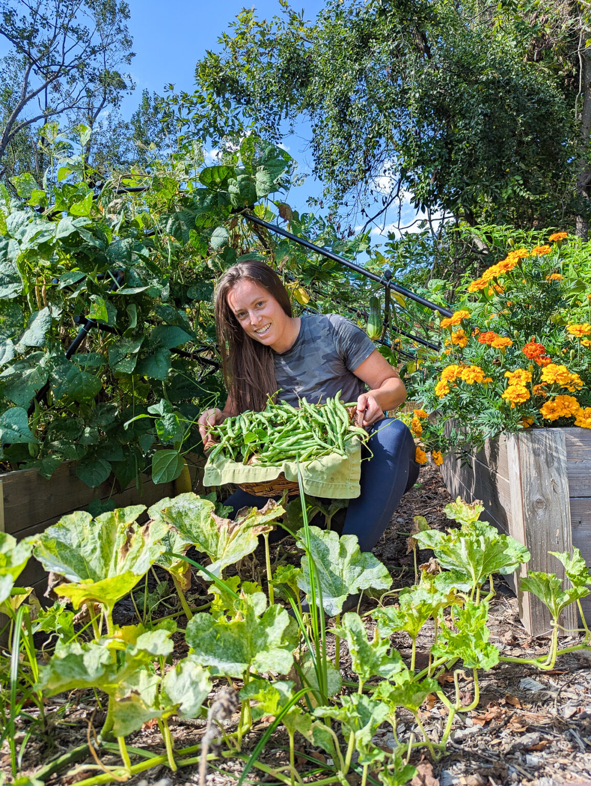 6 Ways to Donate to a Food Pantry and Reduce Food Waste - Honestly Modern