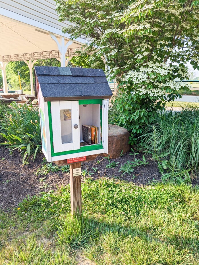 Caring for a Little Free Library - Honestly Modern